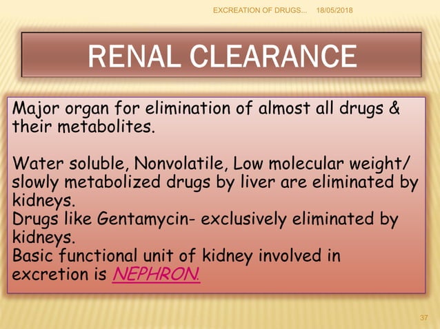 Excretion of drug | PDF