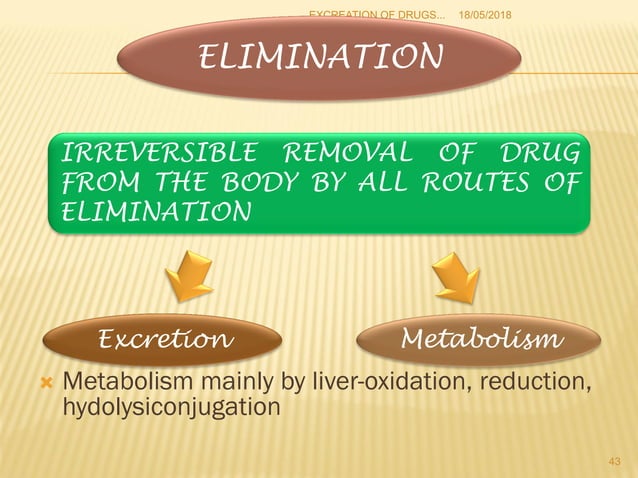 Excretion of drug | PDF