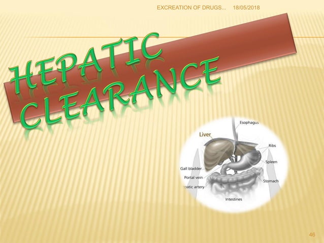 Excretion of drug | PDF