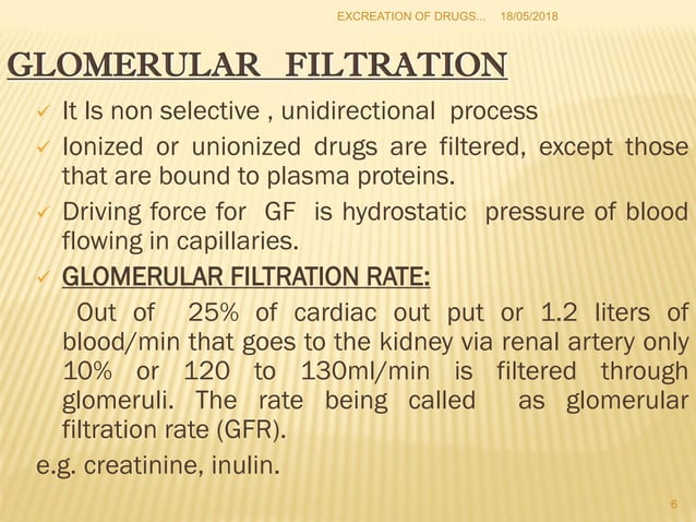 Excretion of drug | PDF