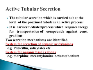 Drugs Excretion | PPTX