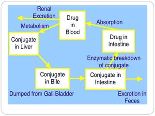 EXCRETION OF DRUGS.pptx