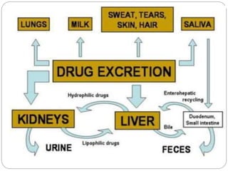 EXCRETION OF DRUGS.pptx