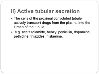 EXCRETION OF DRUGS.pptx