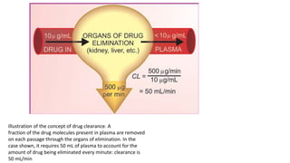 Excretion of drugs and kinetics of elimination | PPT