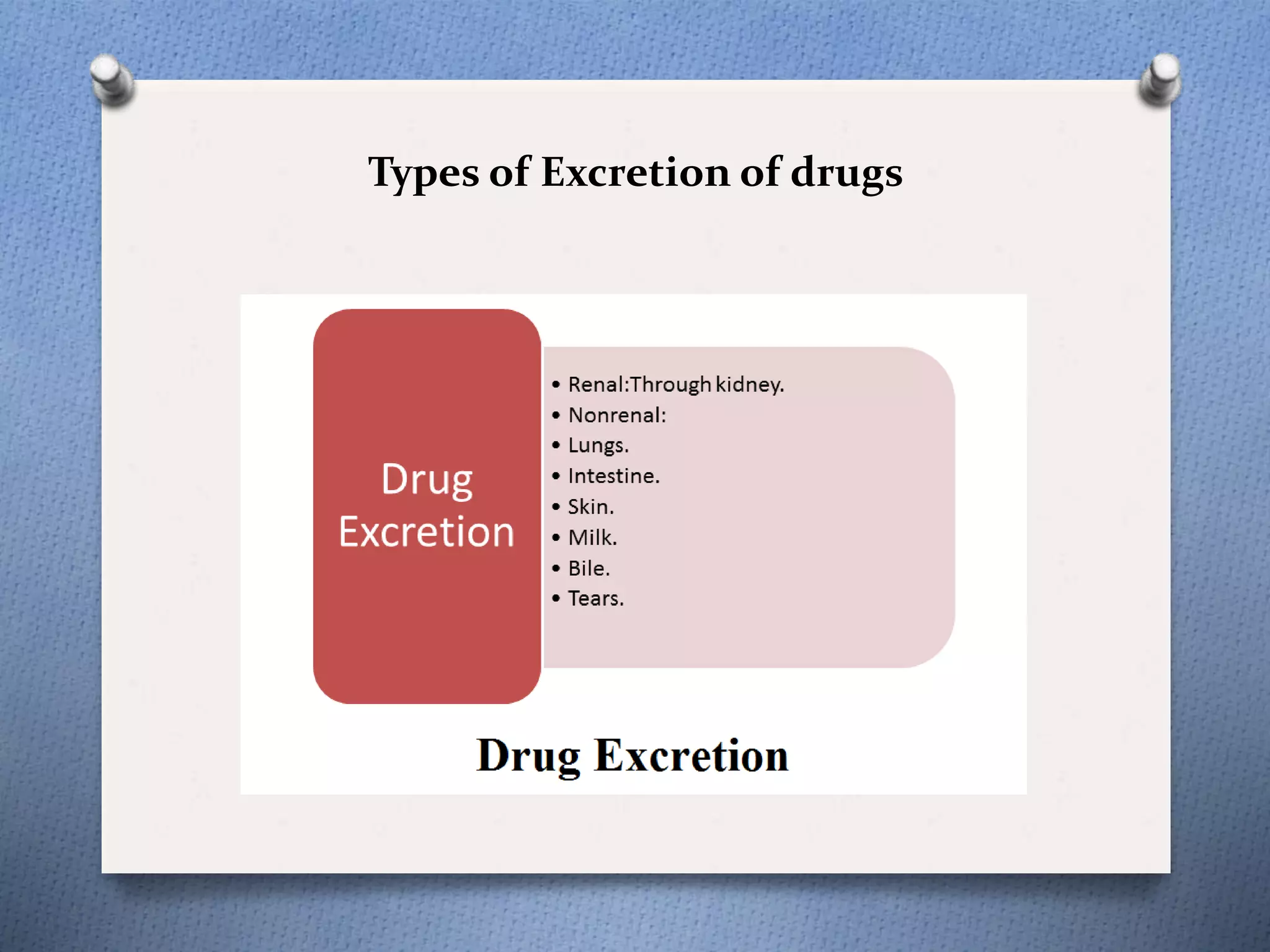 Excretion of the drugs.pptx