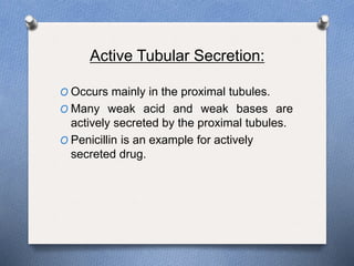 Excretion of the drugs.pptx