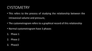 Excretionof urine for dental | PPTX | Brain and Nervous System ...