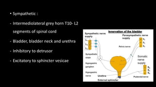 Excretionof urine for dental | PPTX
