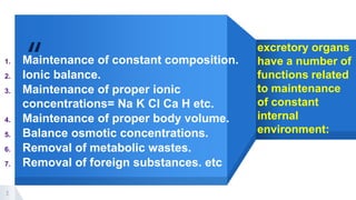 Excretion patterns | PPTX