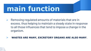 Excretion patterns | PPTX