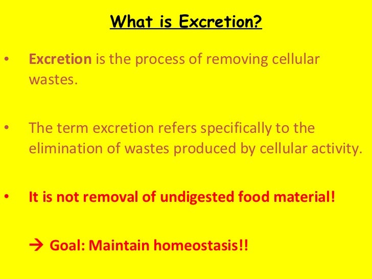 Excretion Meaning Excretory Products and Modes of Excretion ...