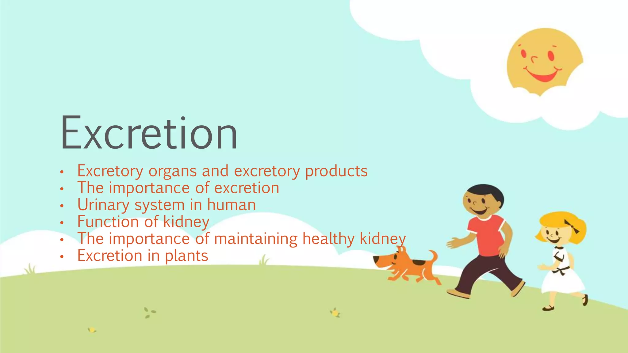 Excretion ppt | PPTX