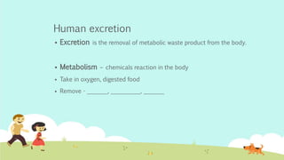 Excretion ppt | PPT