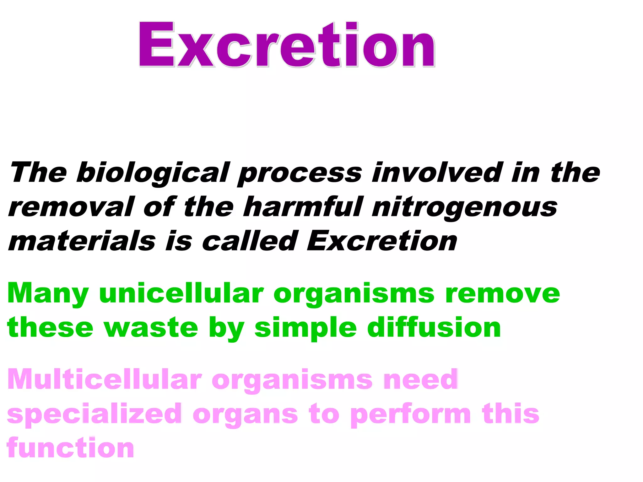 Excretion ppt | PPT
