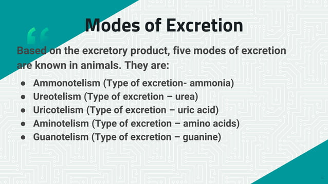 EXCRETION process explained briefly in humans. | PPT