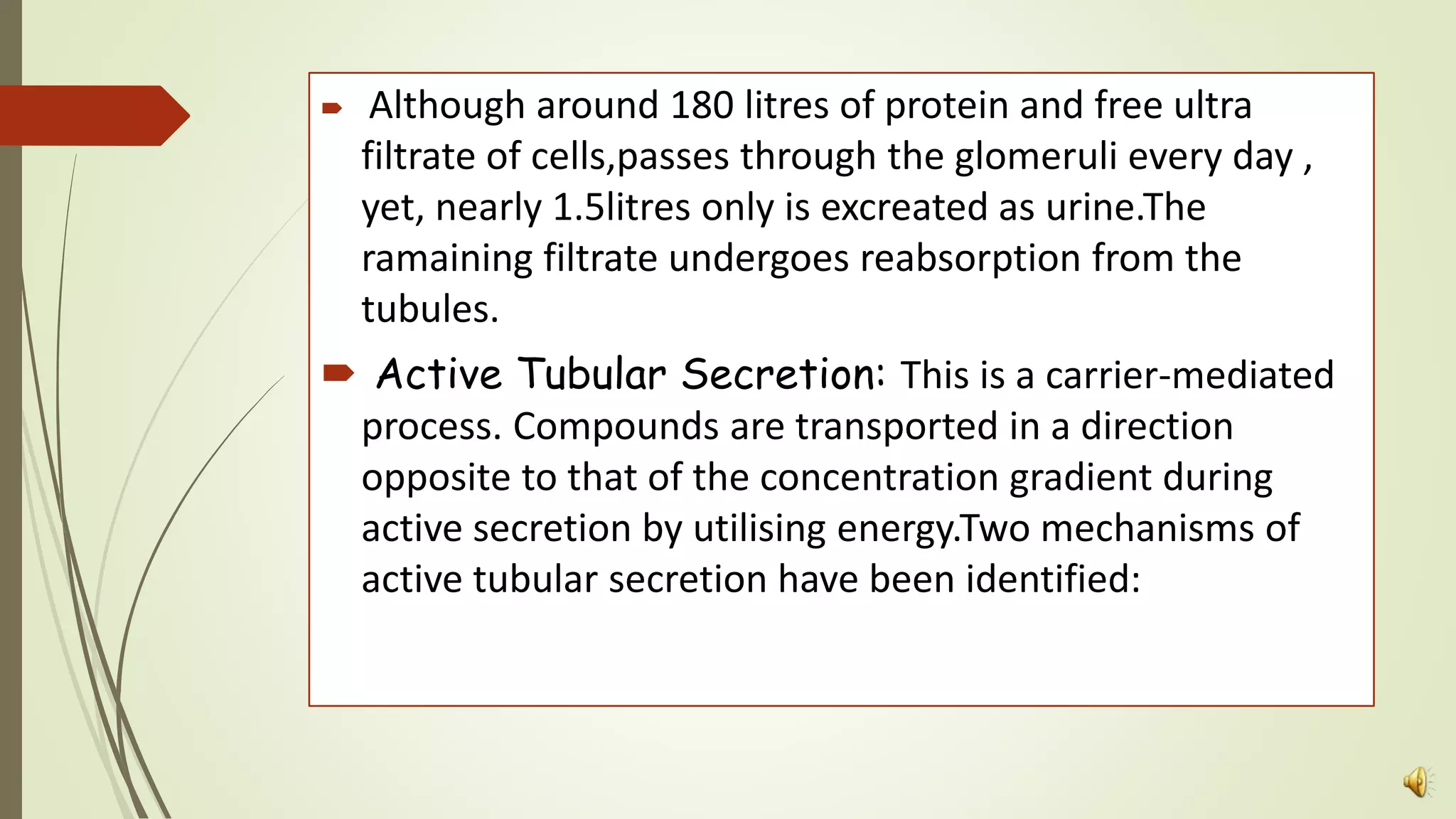 Excretion of drugs in humans | PPT