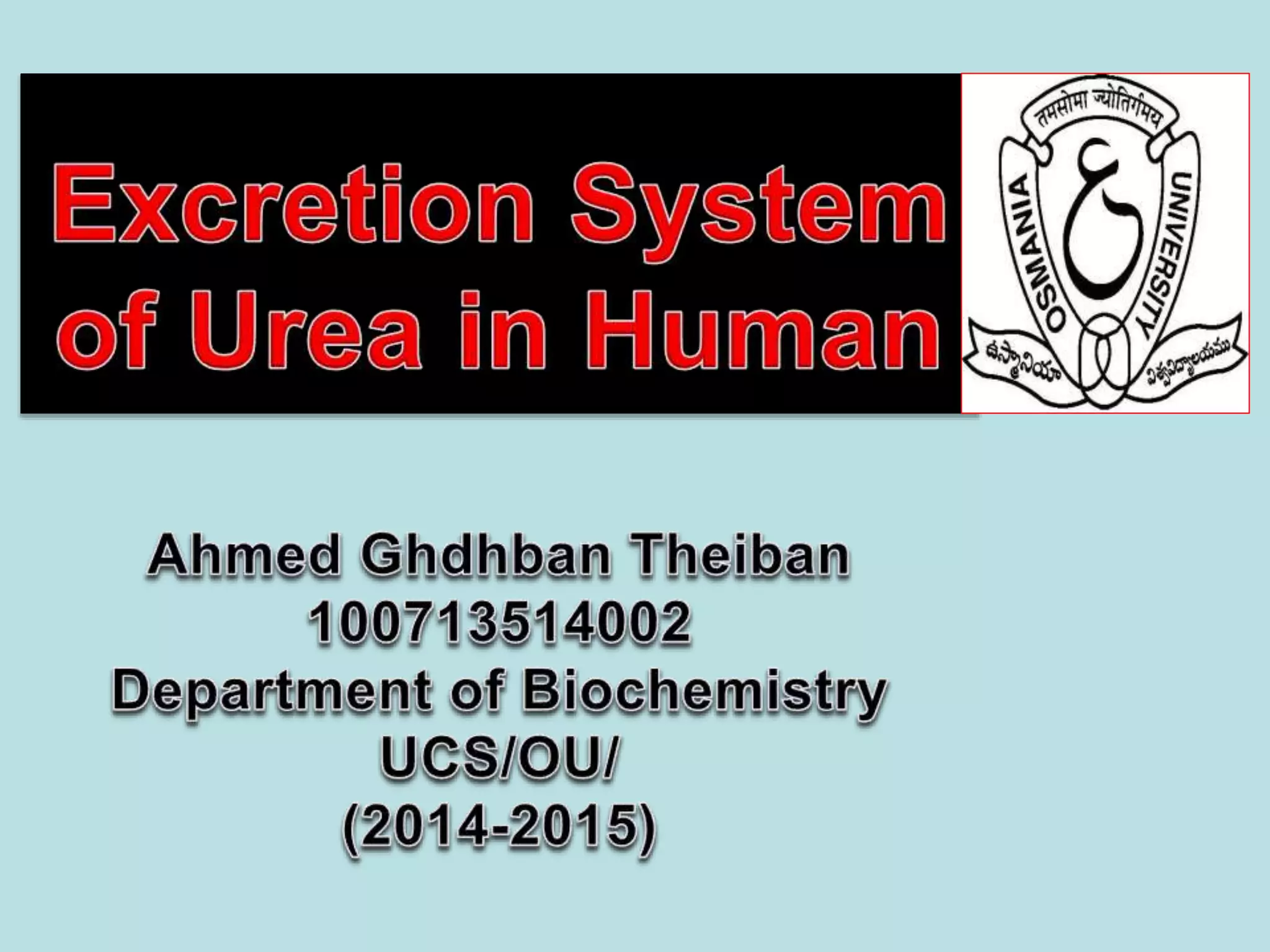 Excretion system of urea in human revise by Ahmed Ghdhban Alziaydi | PPTX