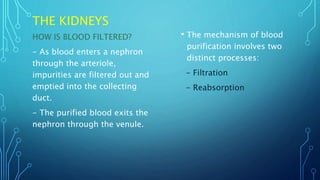 EXCRETORY-SYSTEM.pptx