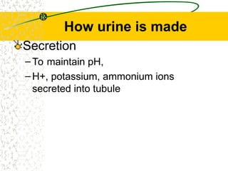 Introduction excretory-system of Human Body | PPT