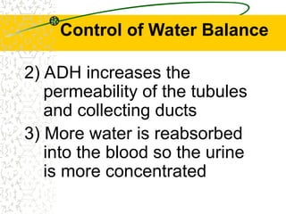 Introduction excretory-system of Human Body | PPT