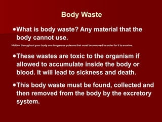 SCIENCE ---- ---Excretory - System.pptx