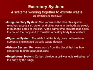 SCIENCE ---- ---Excretory - System.pptx