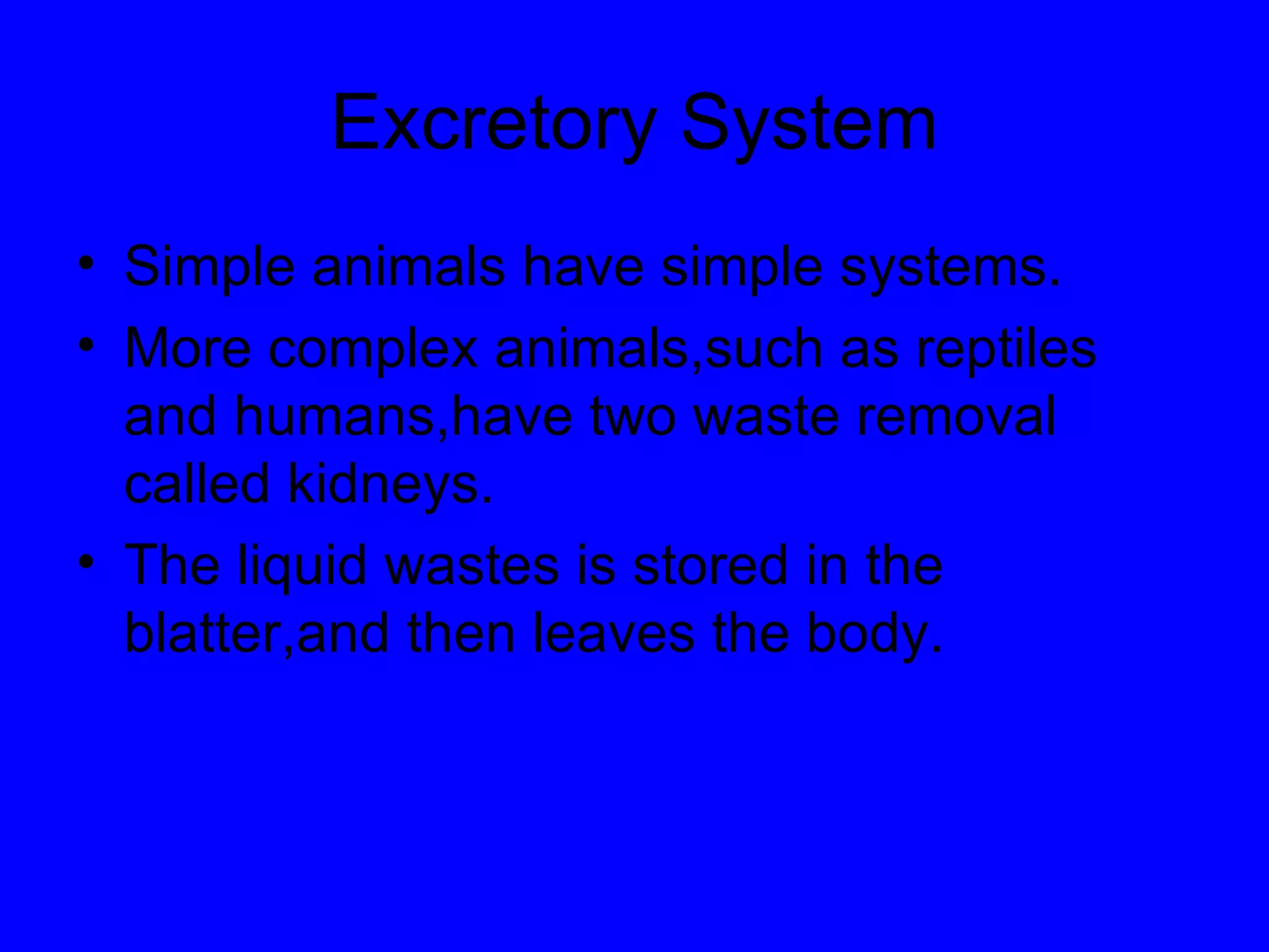 Excretory System Science 23 Makenzeya | PPT