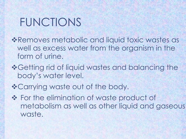 Excretory and urinary system | PPTX