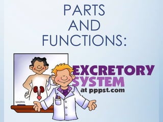 Excretory and urinary system | PPTX
