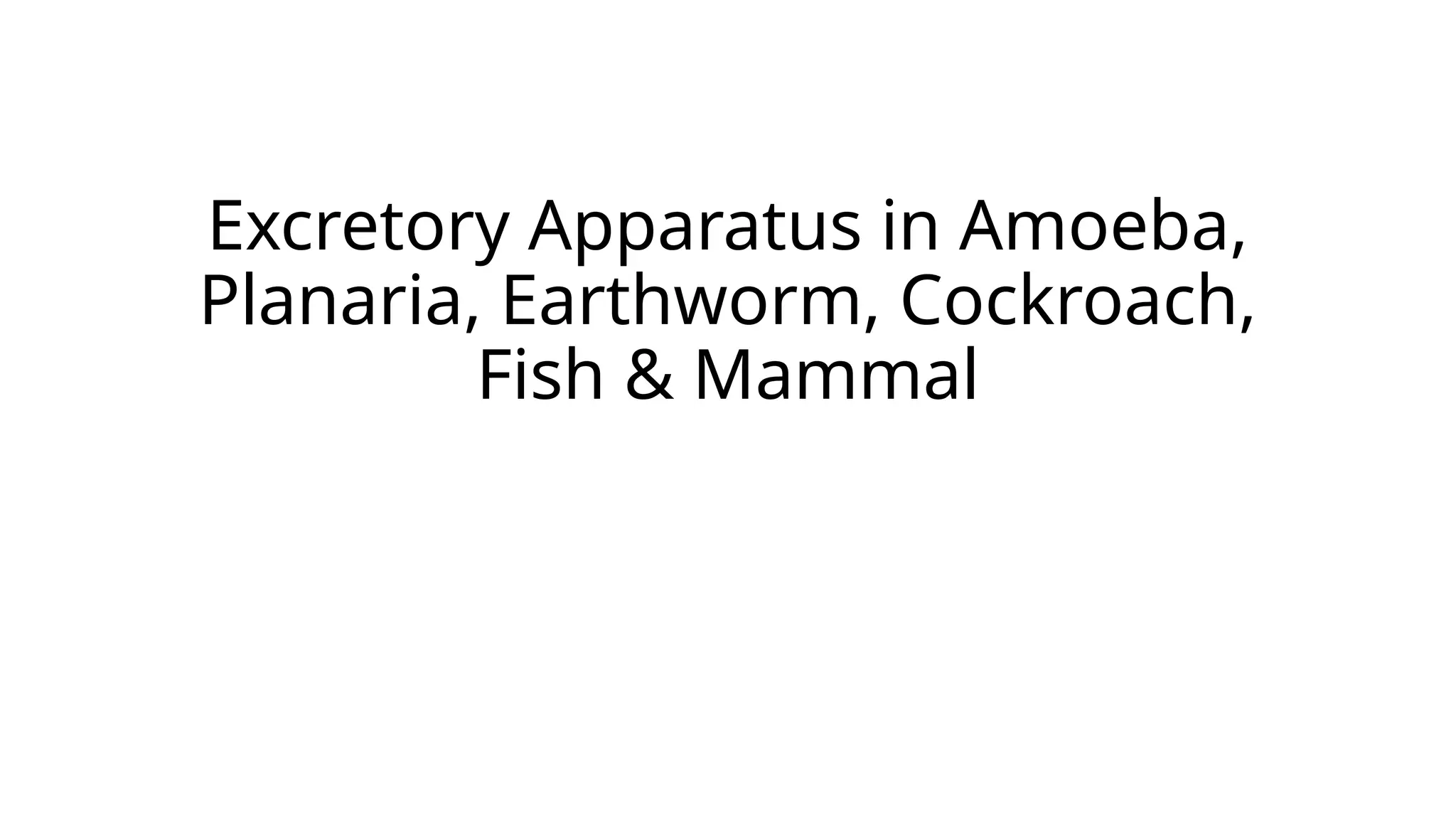 Excretory Apparatus in Amoeba, Planaria, Earthworm, Cockroach, Fish ...