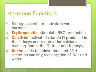 The Excretory System | PDF