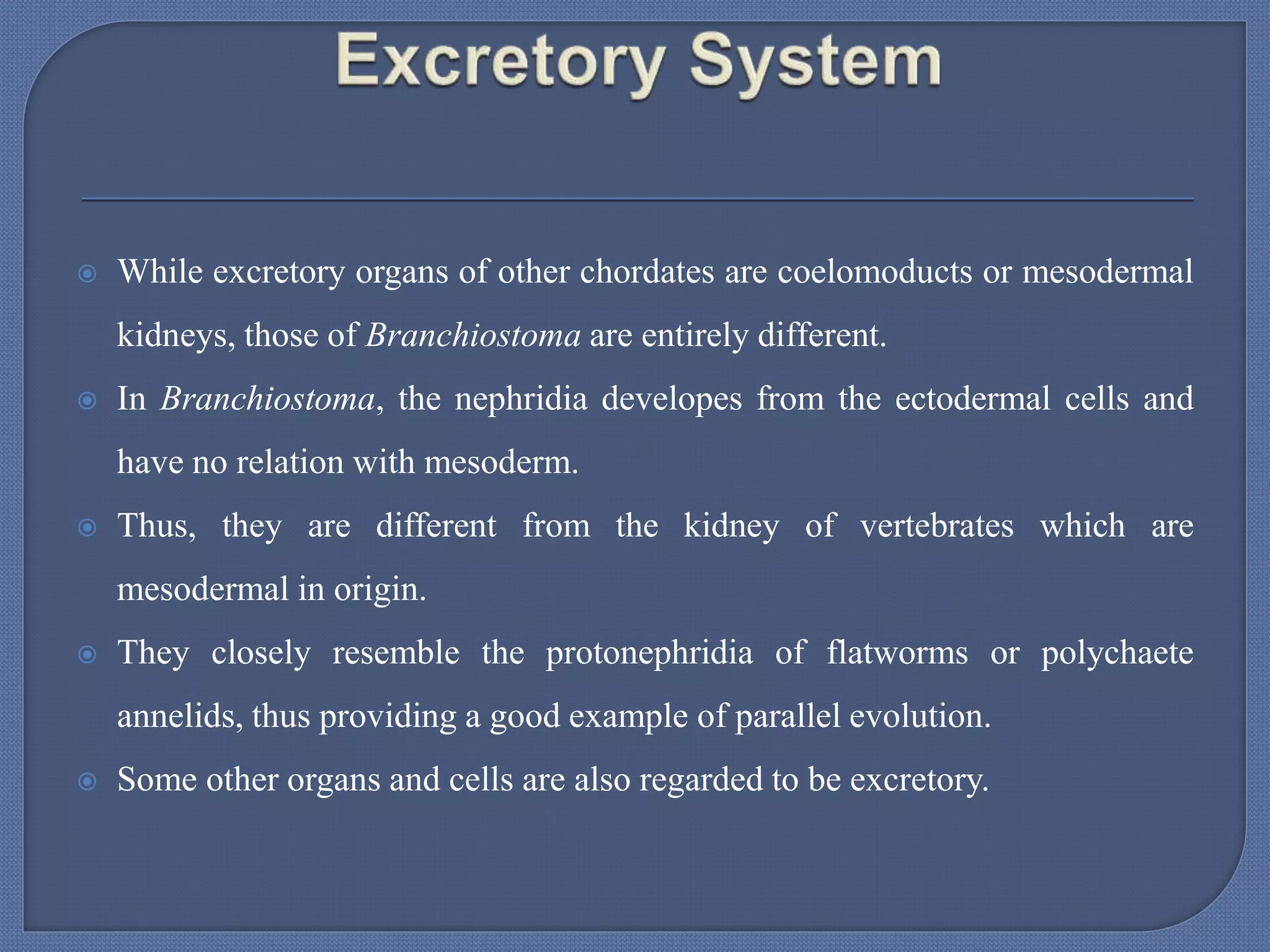 Excretory organs in Amphioxus.pptx