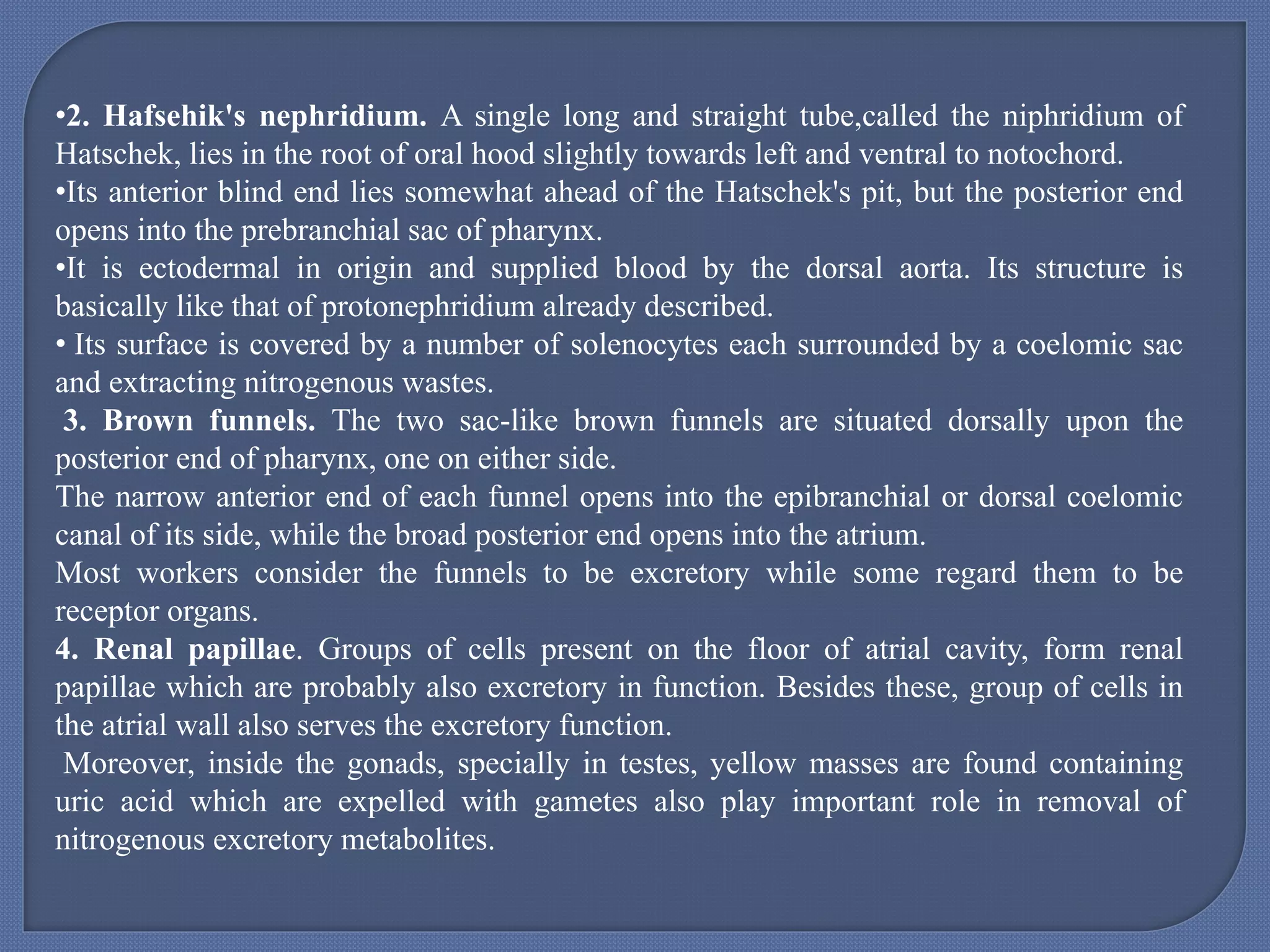 Excretory organs in Amphioxus.pptx