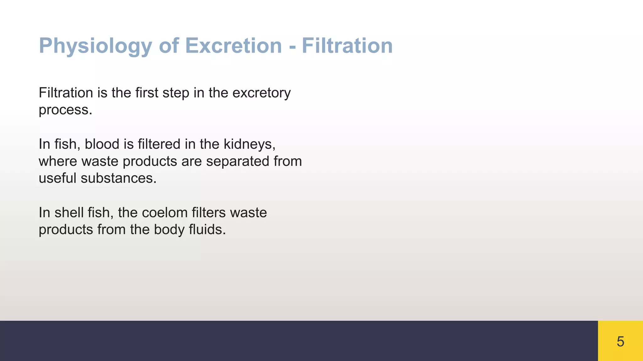 Excretory Organs In FinFish And ShellFish,Physiology of Excretion[1].pptx