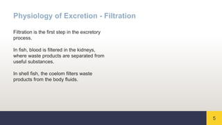 Excretory Organs In FinFish And ShellFish,Physiology of Excretion[1].pptx