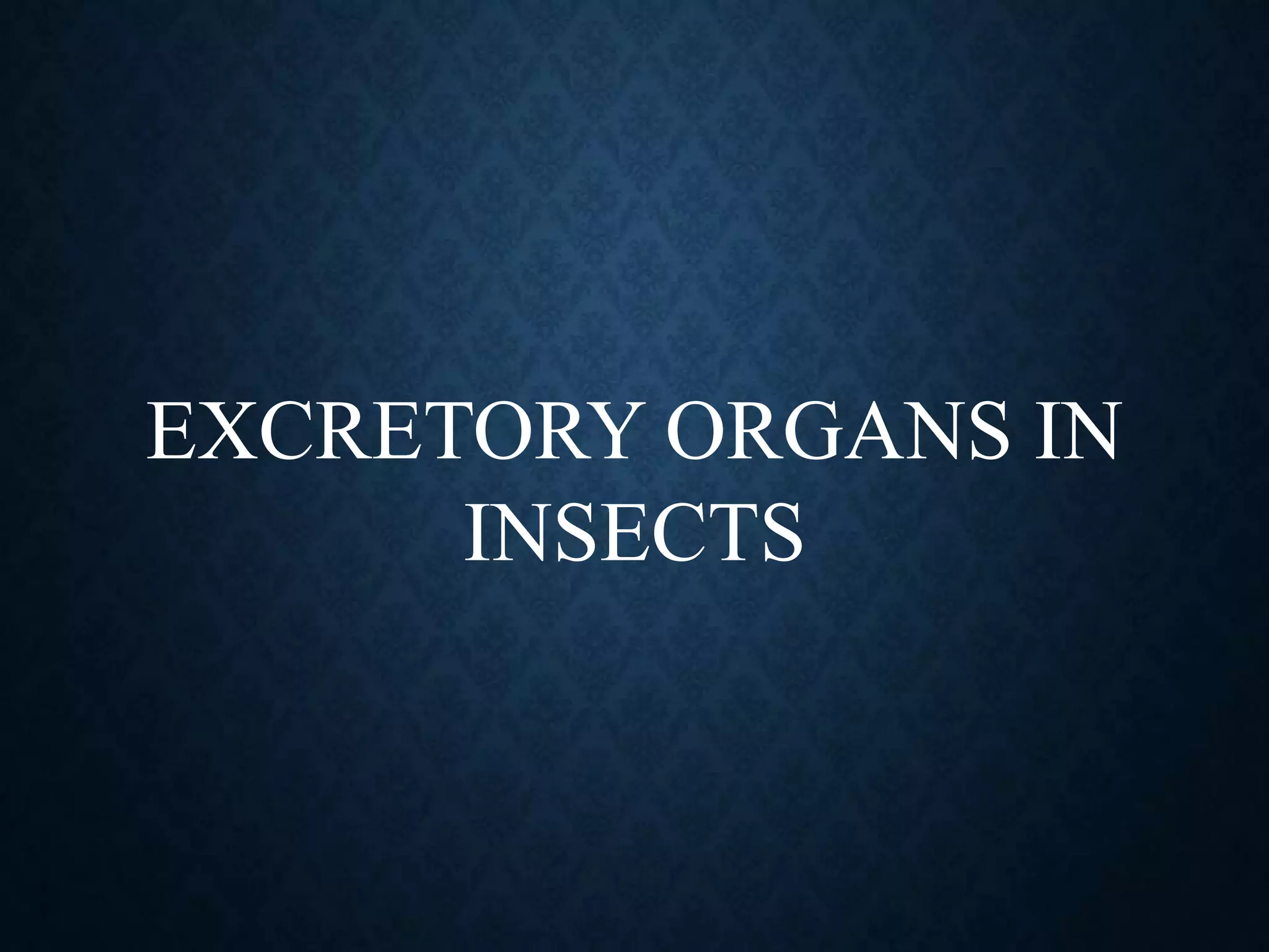 Excretory organs in insects | PPTX