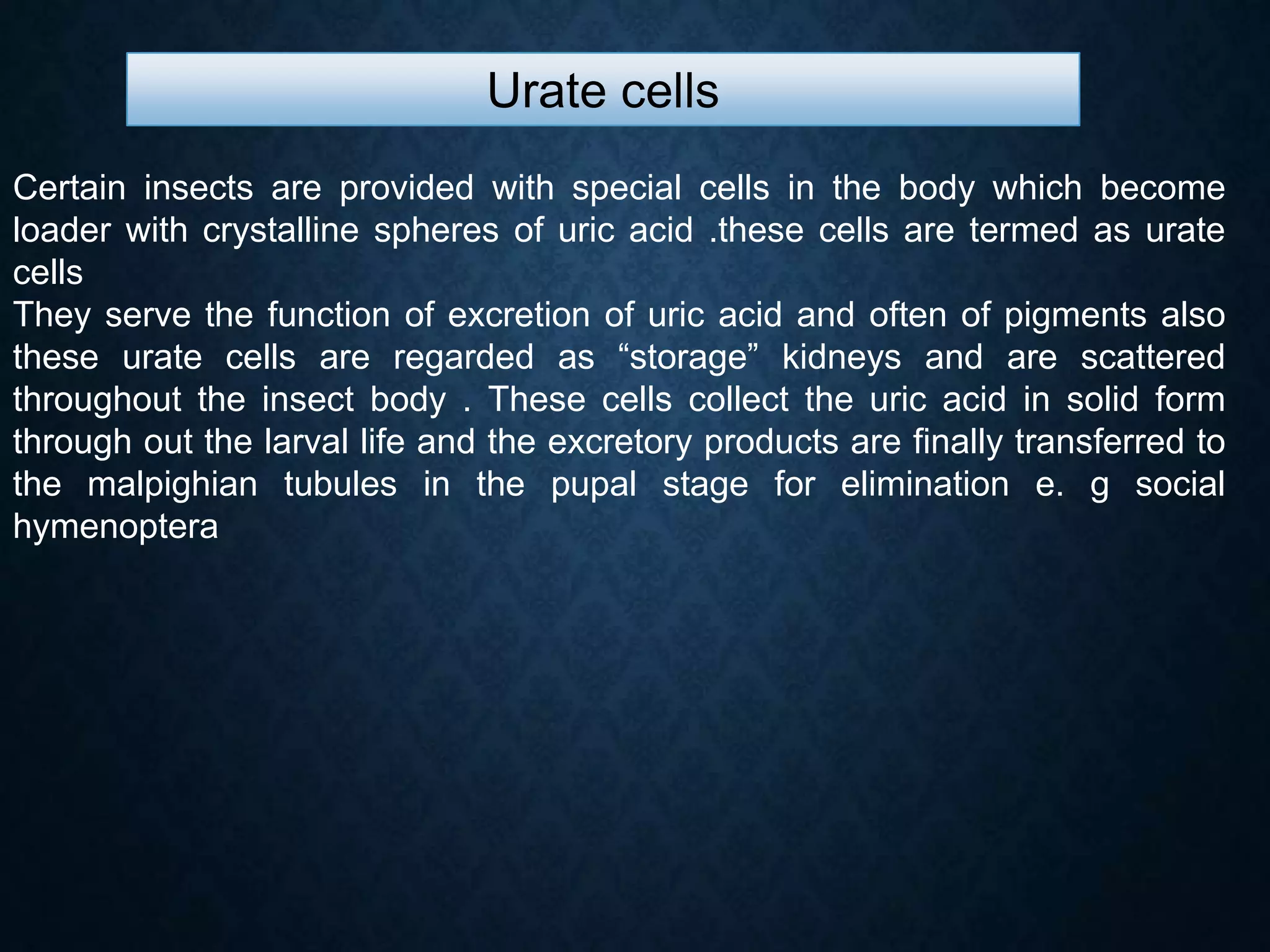 Excretory organs in insects | PPTX