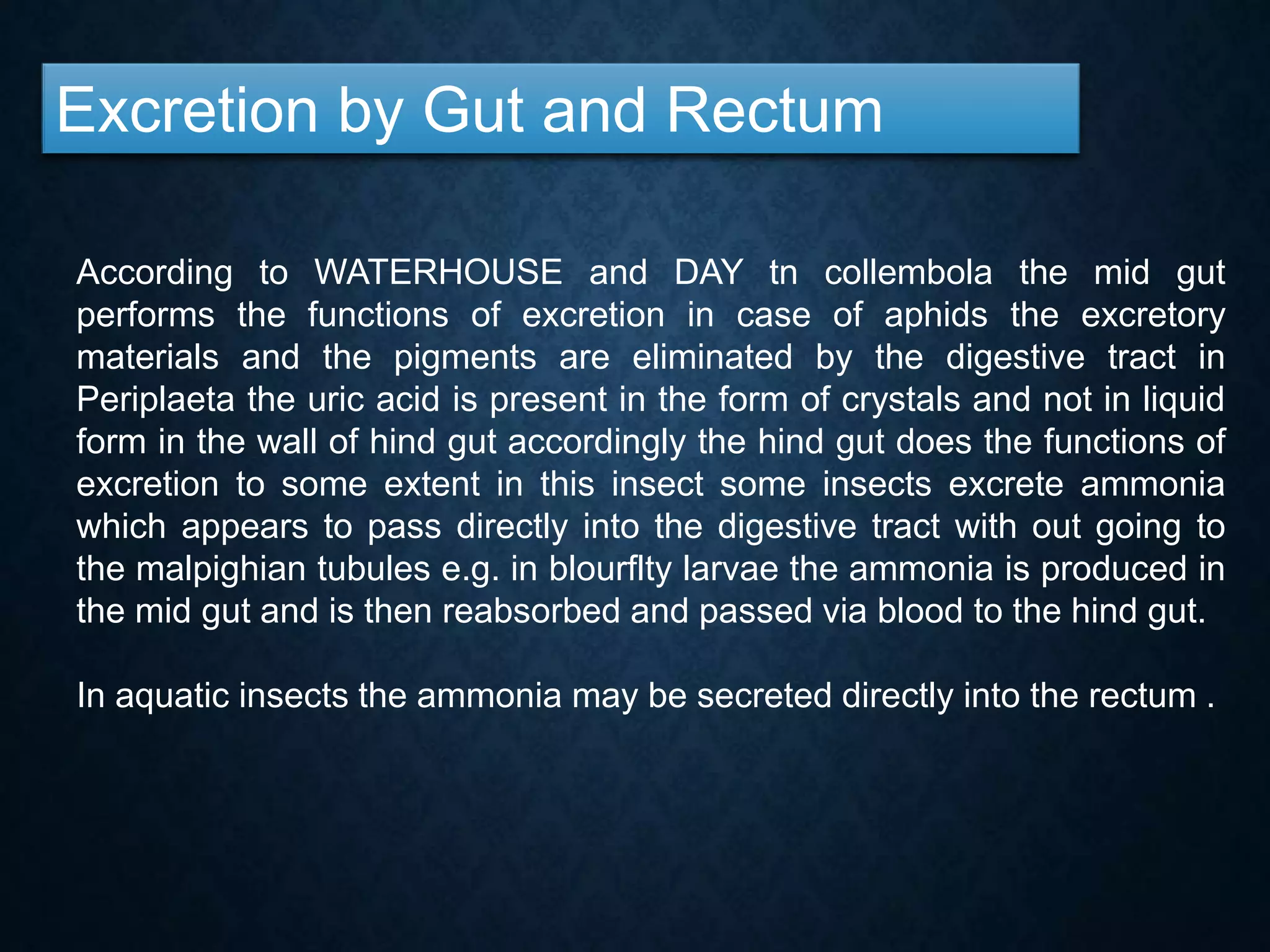 Excretory organs in insects | PPTX