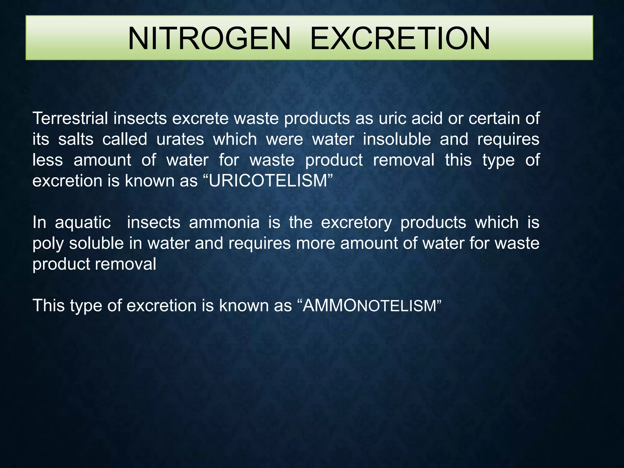 Excretory organs in insects | PPTX