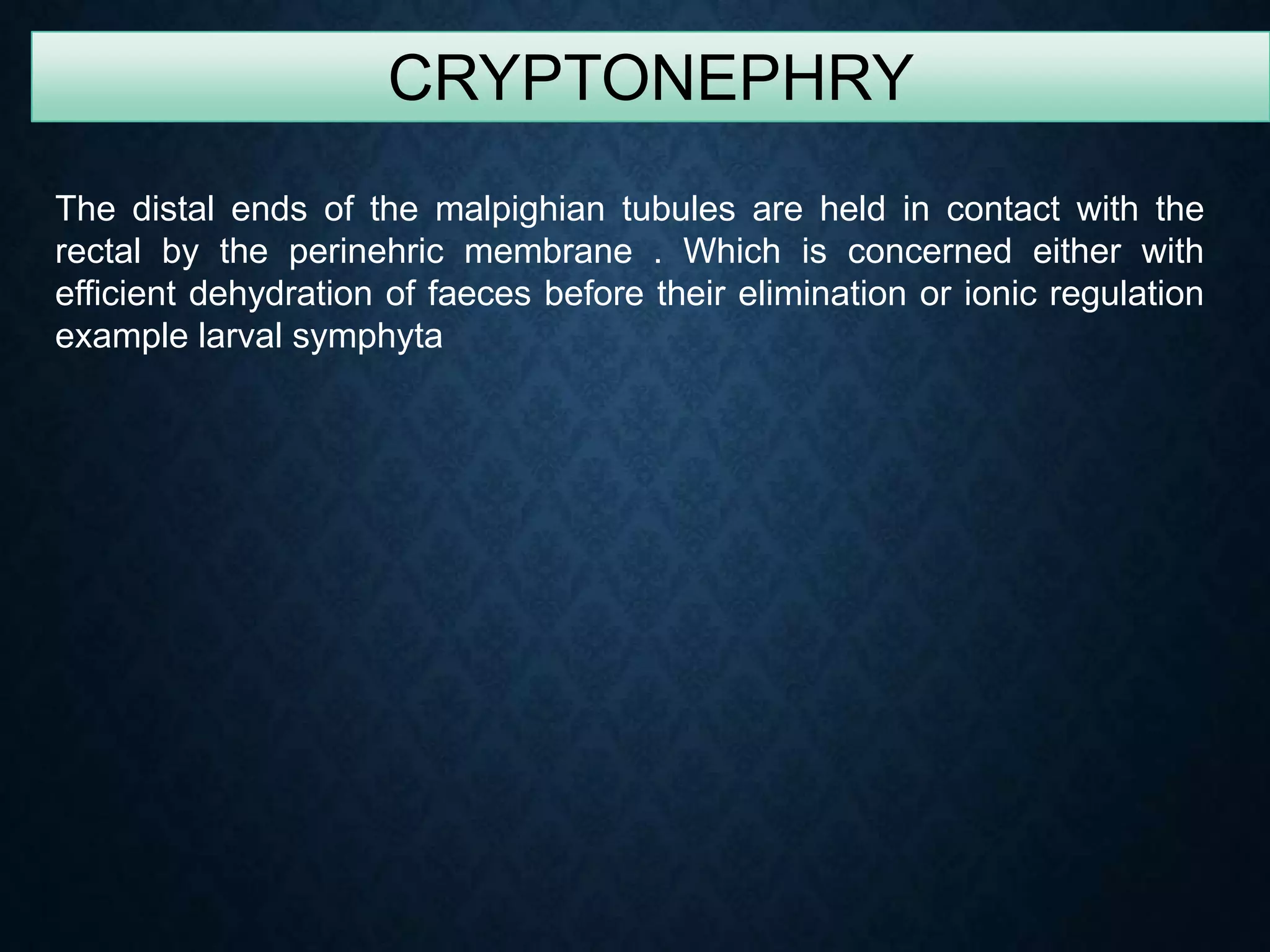 Excretory organs in insects | PPTX