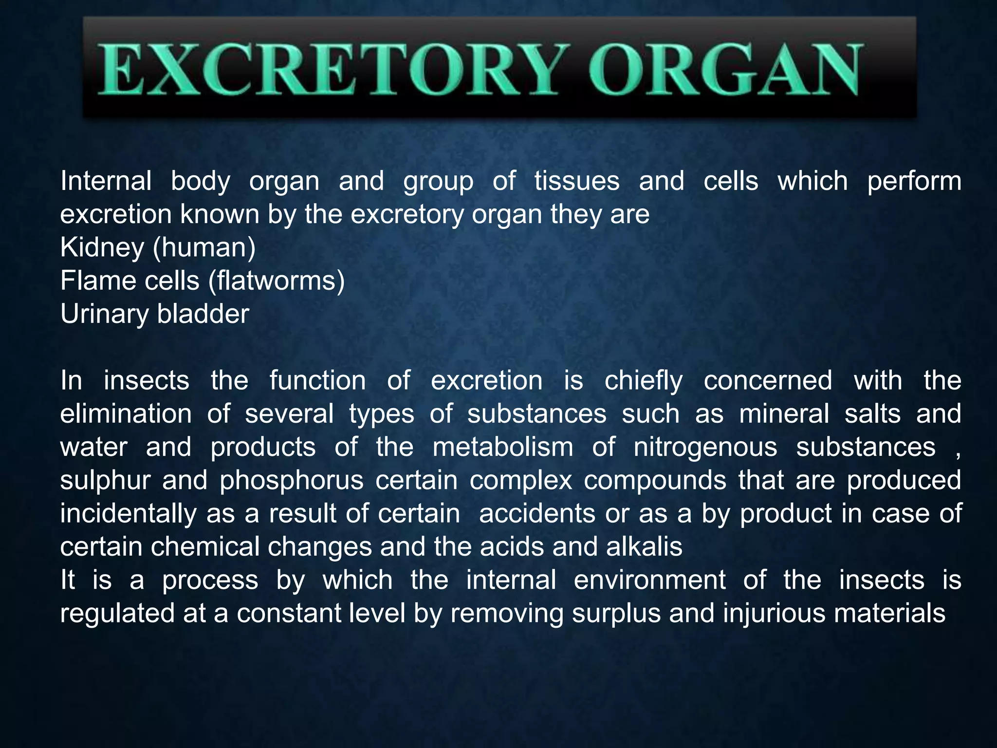 Excretory organs in insects | PPTX