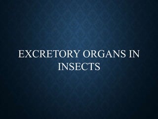 Excretory organs in insects | PPTX