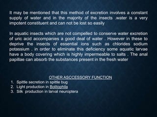 Excretory organs in insects | PPTX