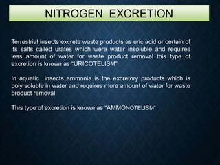 Excretory organs in insects | PPTX