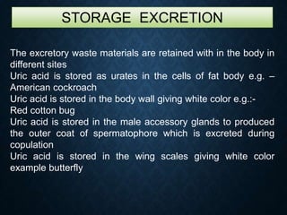 Excretory organs in insects | PPTX