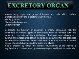 Excretory organs in insects | PPTX