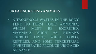 excretoryproductsinanjmalsandotherverteb.ppt