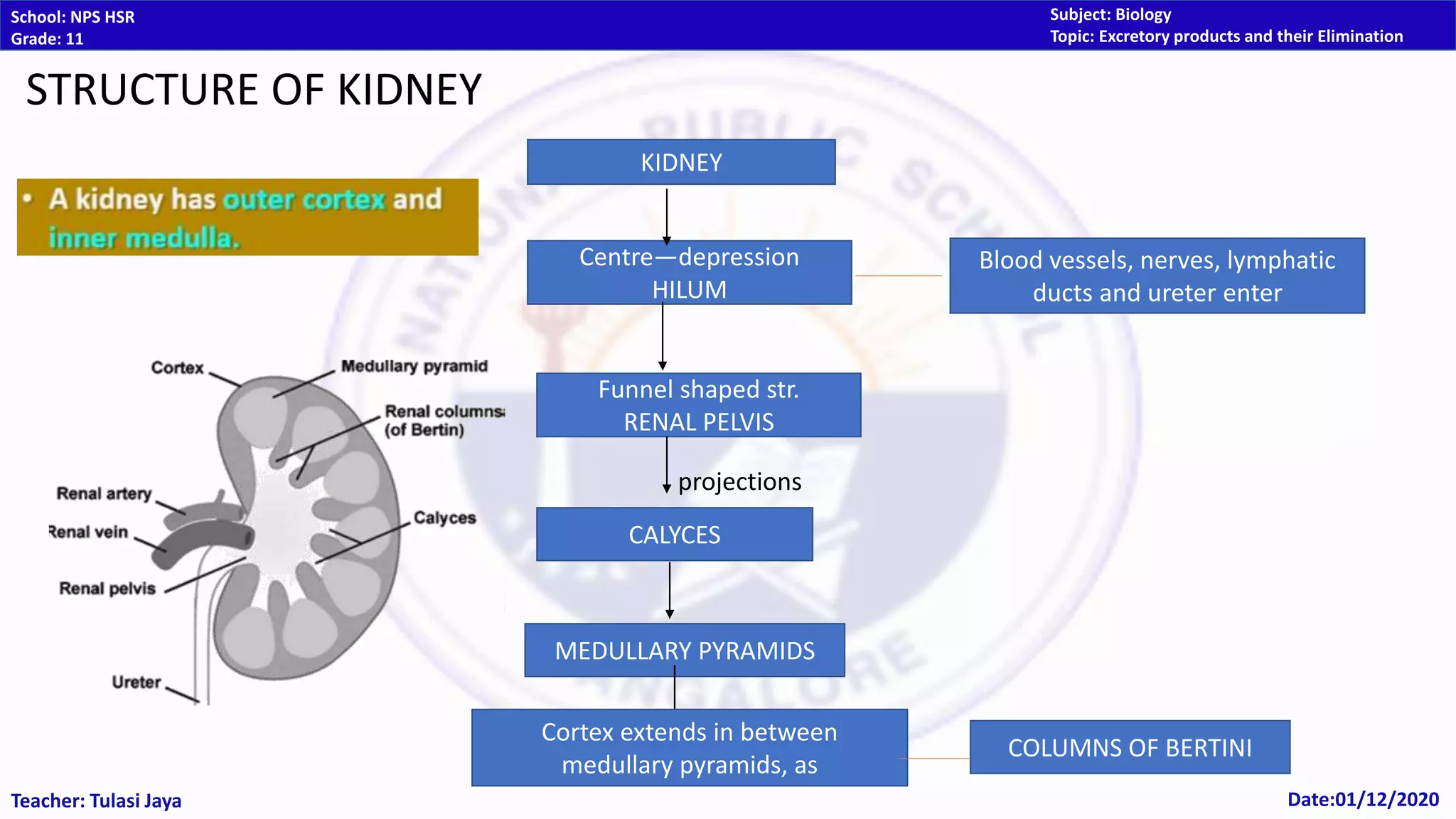 Excretory products and their elimination.pptx