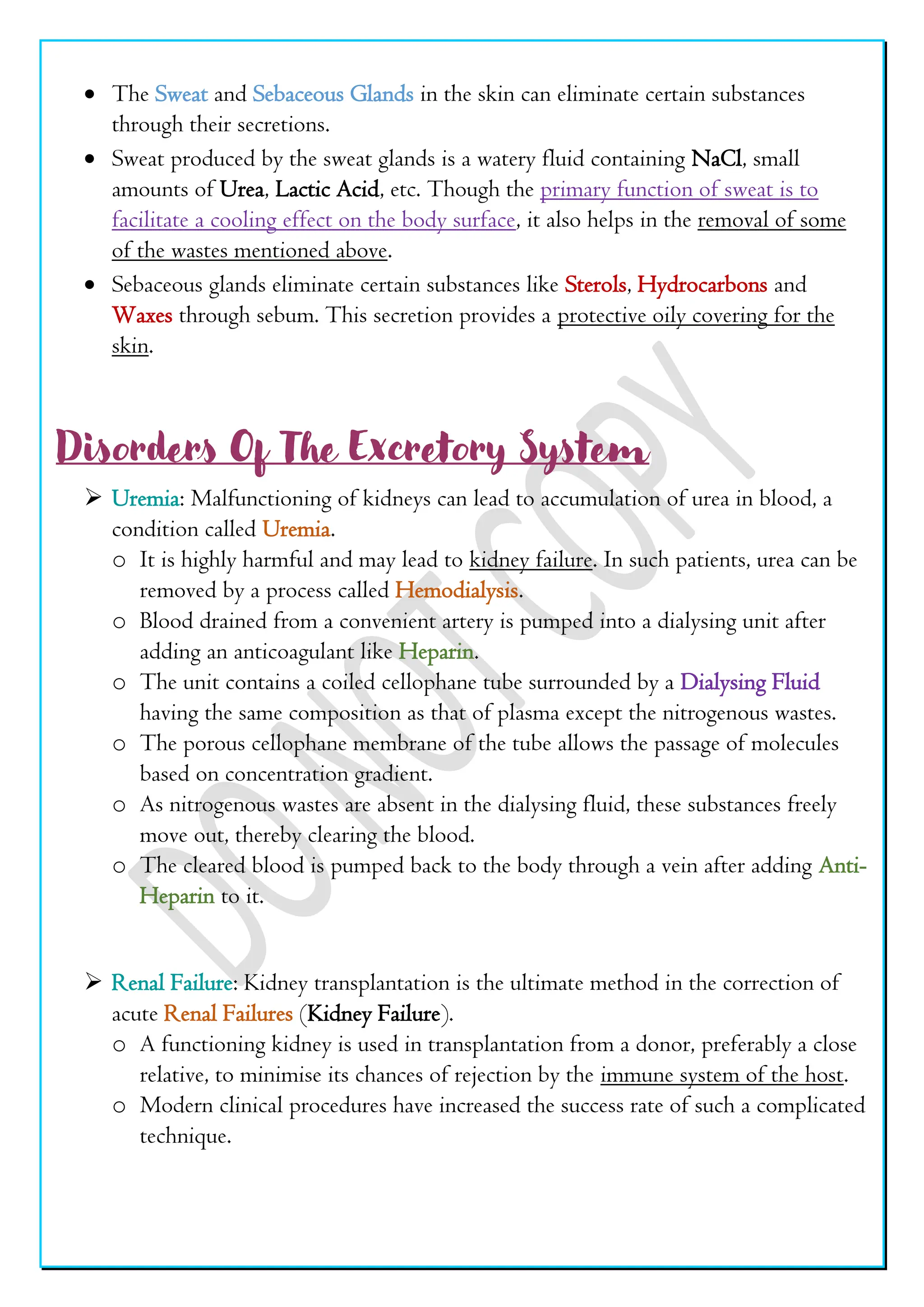 Excretory Products And Their Elimination Class 11th | PDF